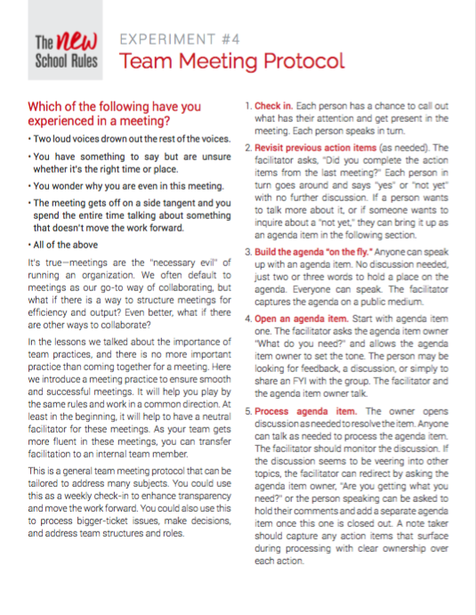 The NEW School Rules Experiment 4: Meeting Protocol